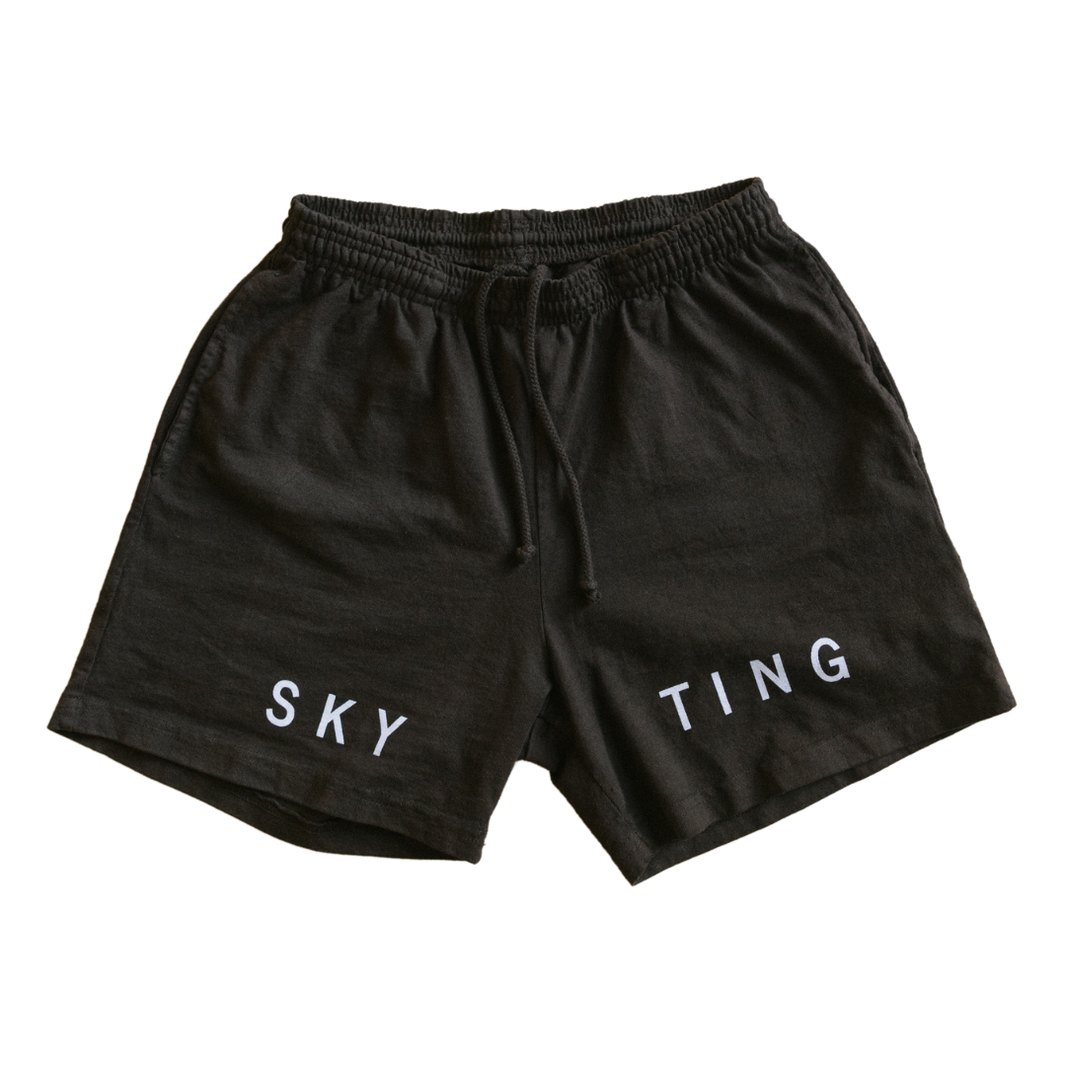 SKY TING MERCH